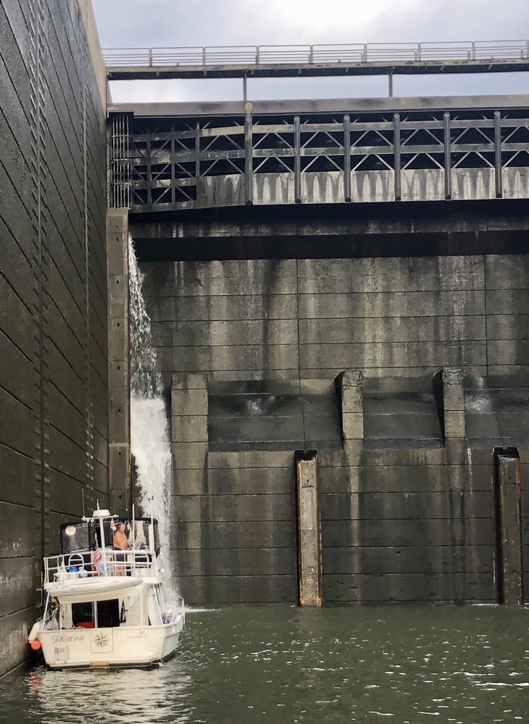 Wilson Lock… | Shellerina's Blog